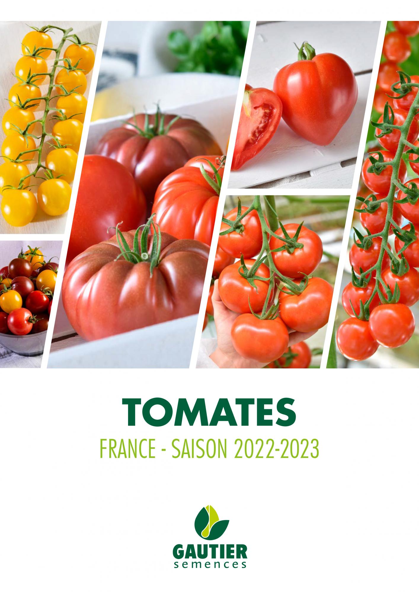 TOMATE SAMIRA HF1 – Casa Agricole